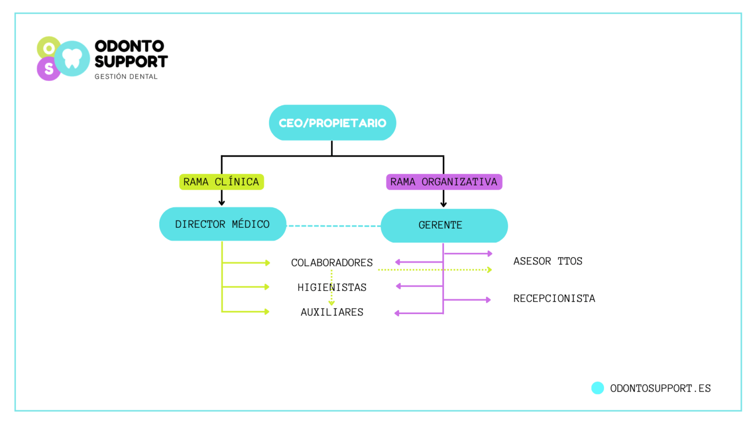 ORGANIGRAMA DE UNA CLÍNICA DENTAL - OdontoSupport